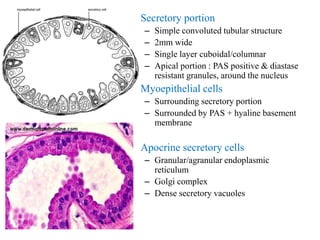 Skin and its glands | PPTX