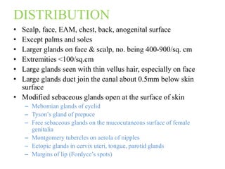 Skin and its glands | PPTX