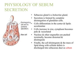 Skin and its glands | PPTX