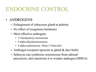 Skin and its glands | PPTX