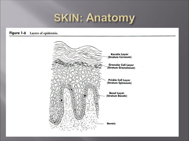 Skin graft , split skin grafting, STG , SSG , split thickness graft ...