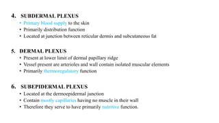 Skin grafts and flaps.pptx