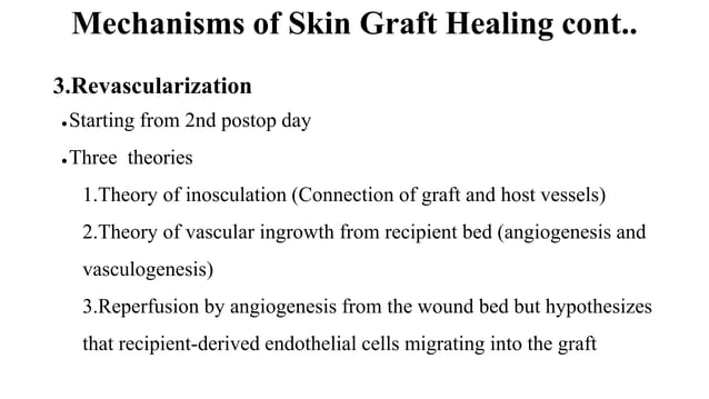 Skin Graft _24.pptx