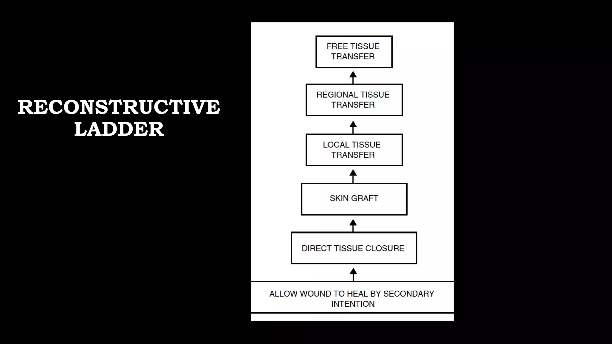Skin graft and Flap surgery | PPTX