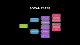 Skin graft and Flap surgery | PPTX