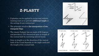 Skin graft and Flap surgery | PPTX