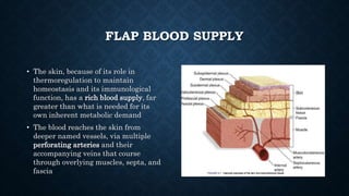 Skin graft and Flap surgery | PPTX