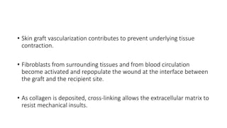 Brief Anatomy of Skin and Skin Grafting | PPTX