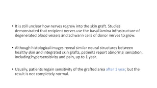 Brief Anatomy of Skin and Skin Grafting | PPTX
