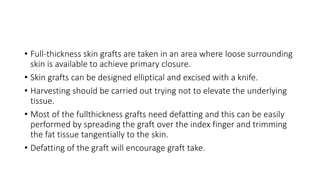 Brief Anatomy of Skin and Skin Grafting | PPTX