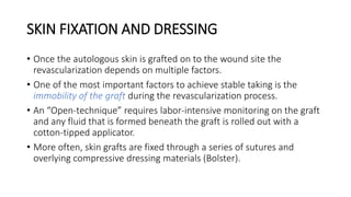 Brief Anatomy of Skin and Skin Grafting | PPTX
