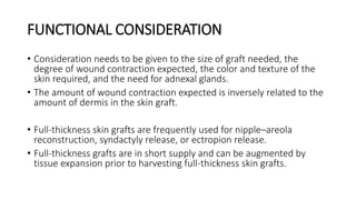 Brief Anatomy of Skin and Skin Grafting | PPTX