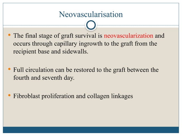 Skin grafting-anatomy, stages, types .pptx