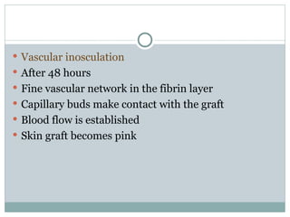 SKIN GRAFT & IT VARIOUS TYPES OF APPROACH | PPT | Skin and Dermatology ...