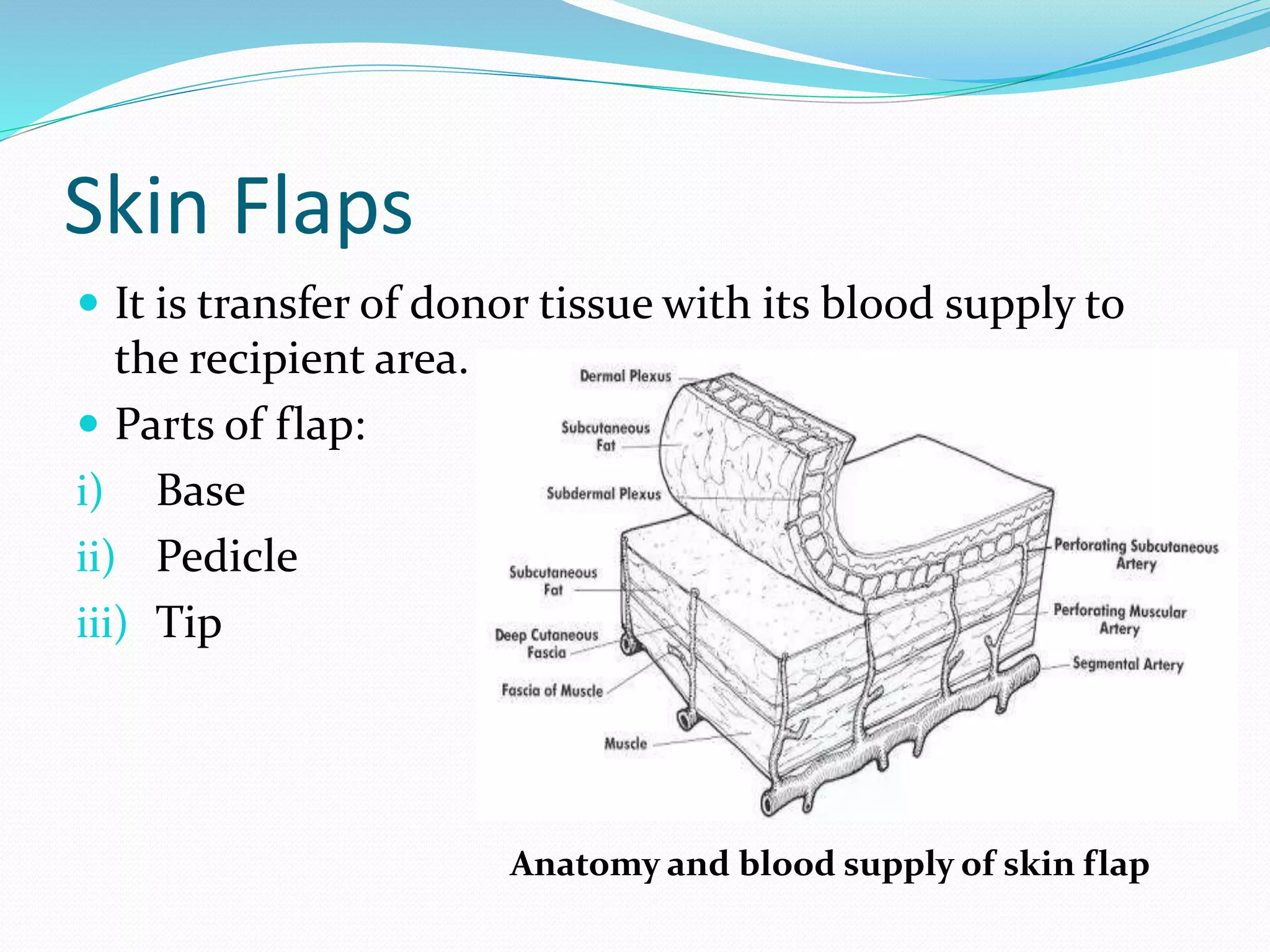 Skin grafts and skin flaps | PPTX
