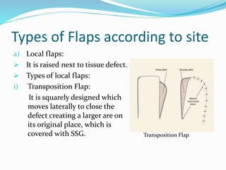 Skin grafts and skin flaps | PPTX