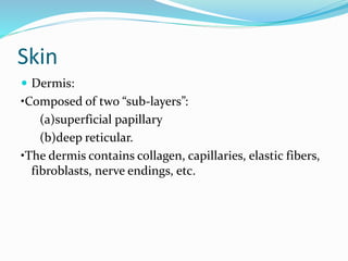 Skin grafts and skin flaps | PPTX