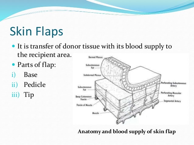 Skin grafts and skin flaps