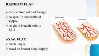 Skin grafts and skin flaps | PPTX