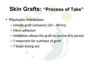 Skin graftsw | PPT
