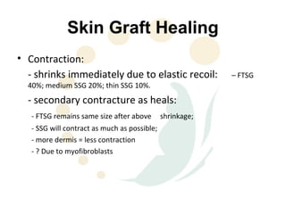 Skin graftsw | PPT