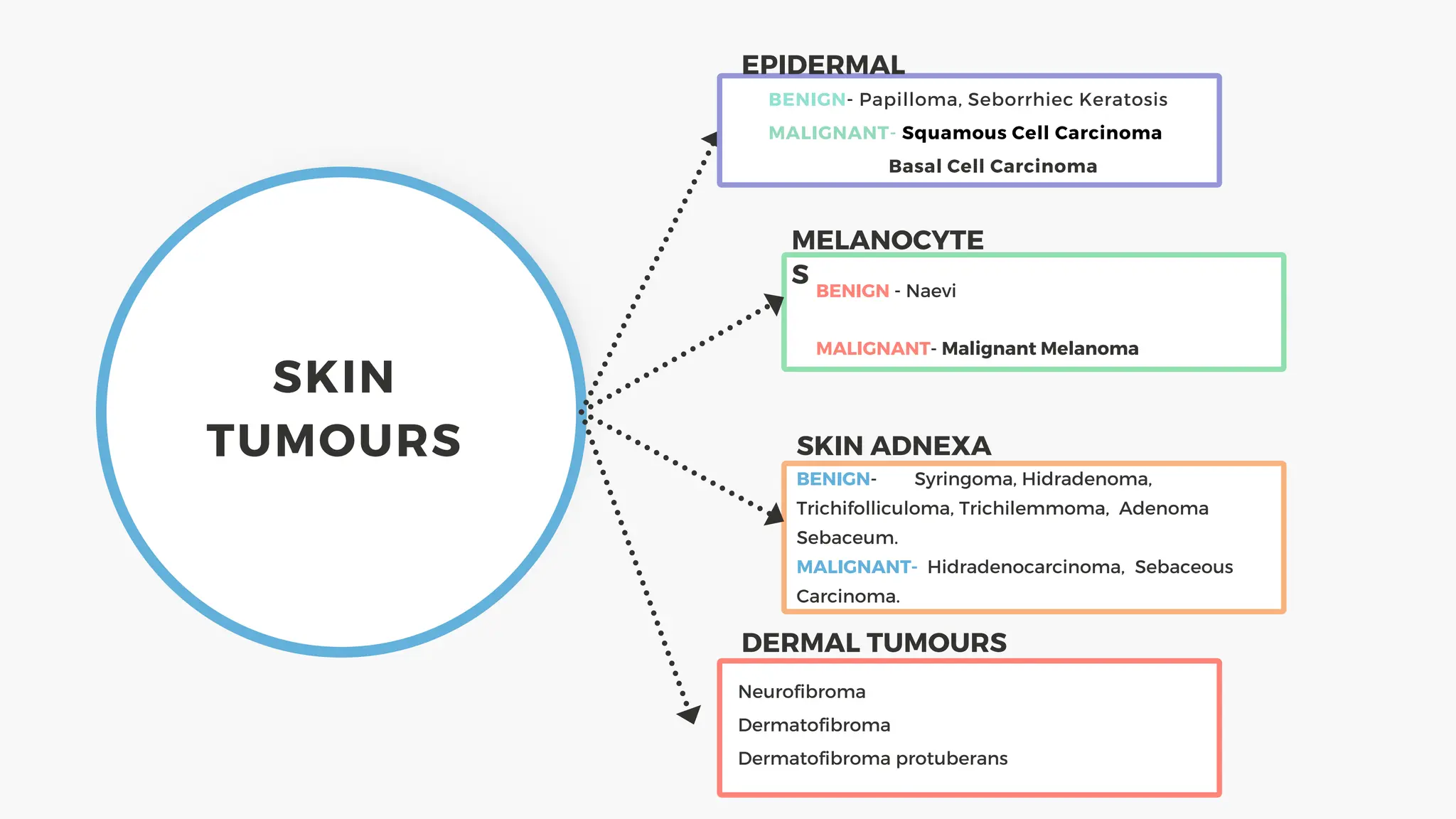 Skin Tumours- Squamous Cell Carcinoma Presentation | PPTX