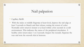 Skin hair and nail_230409_213145.pdf