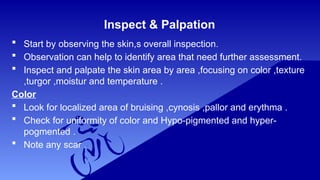 Skin hair and Nail assessment.of human bodyTopicpptx | PPTX