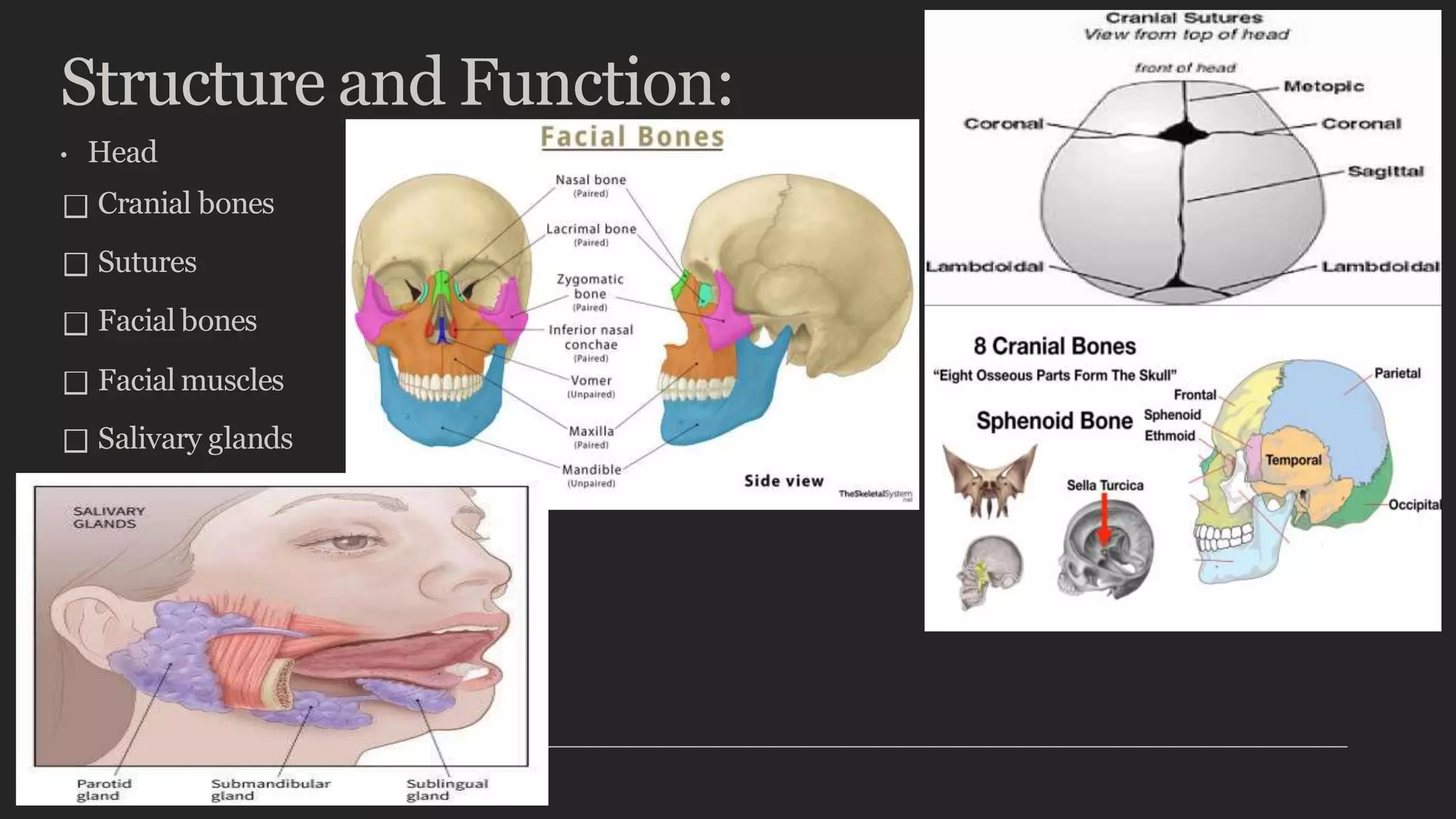 skin, head & neck assessment.pptx