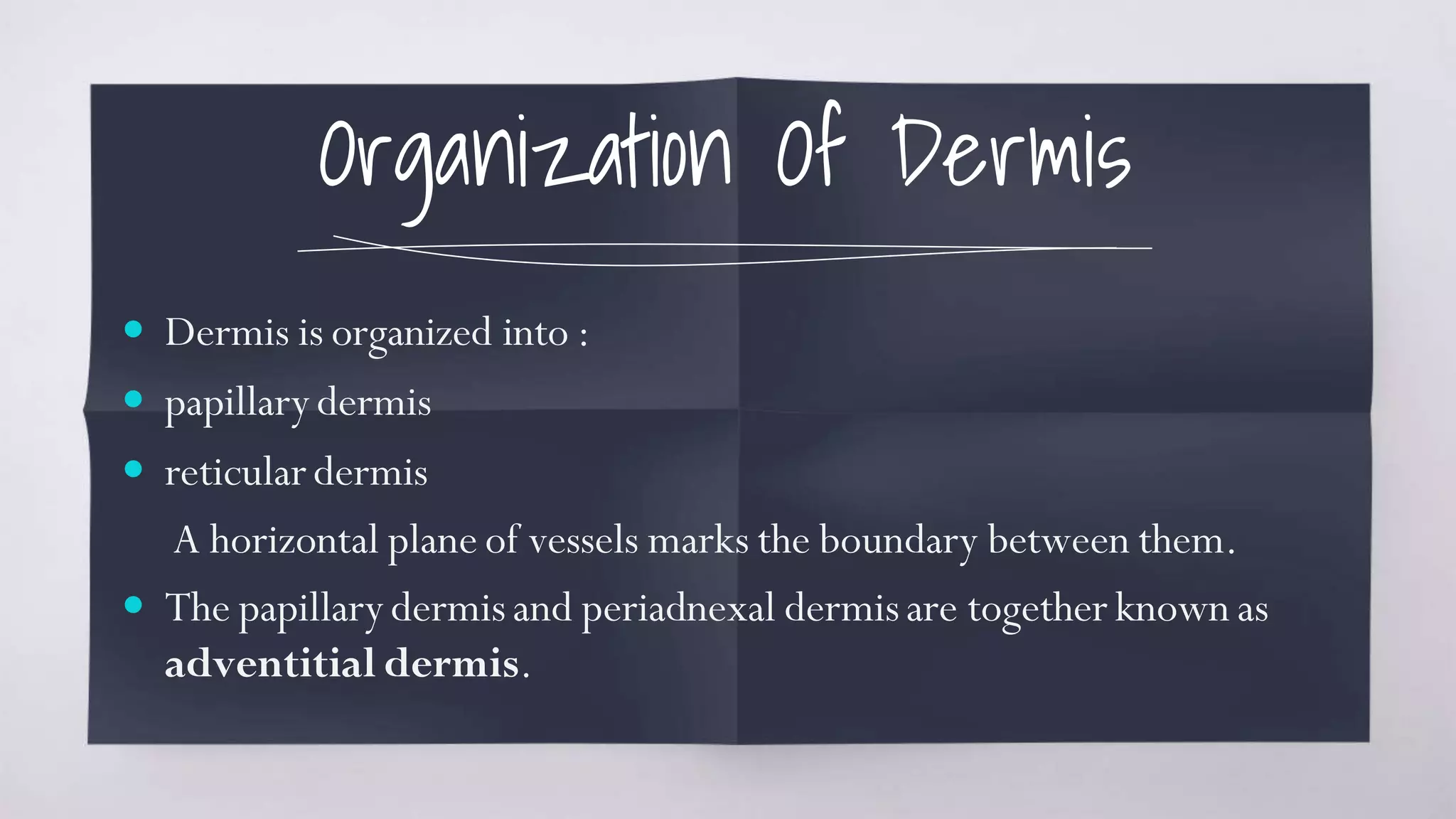 Skin histo patho changes dermatology ppt | PPTX