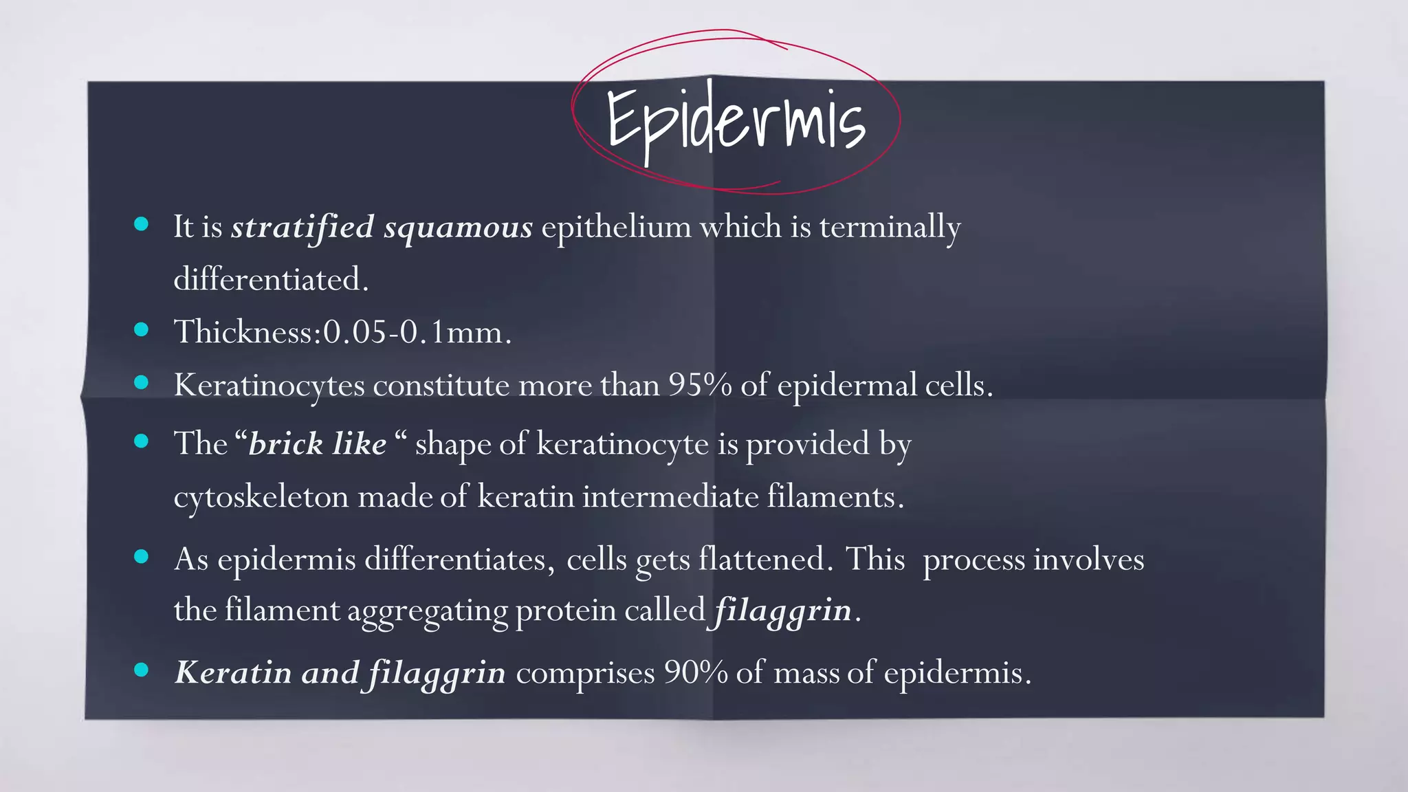 Skin histo patho changes dermatology ppt | PPTX