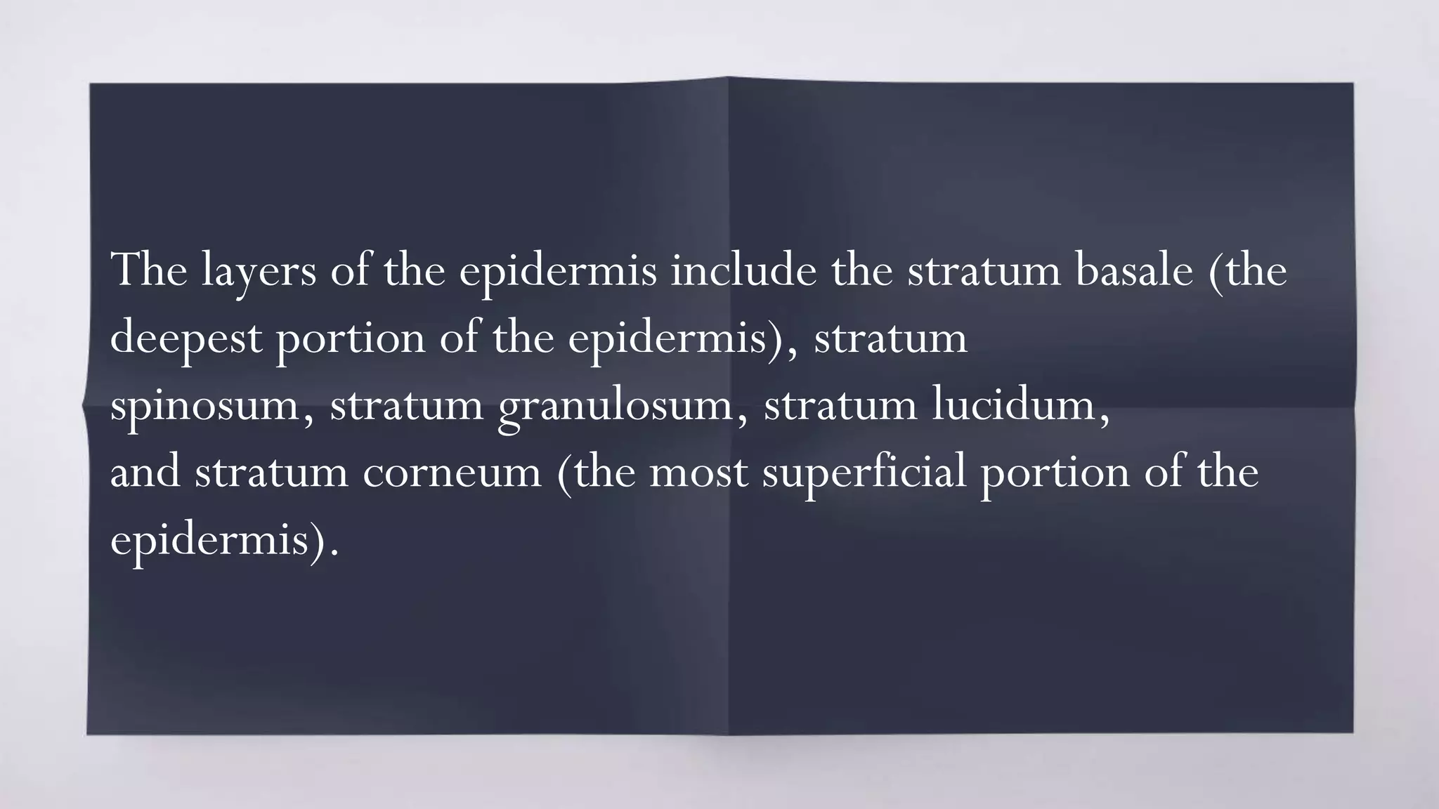 Skin histo patho changes dermatology ppt | PPTX