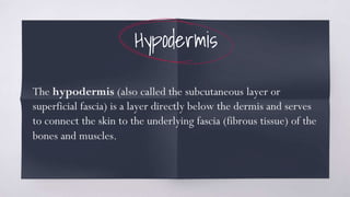 Skin histo patho changes dermatology ppt | PPTX