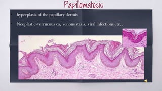 Skin histo patho changes dermatology ppt | PPTX