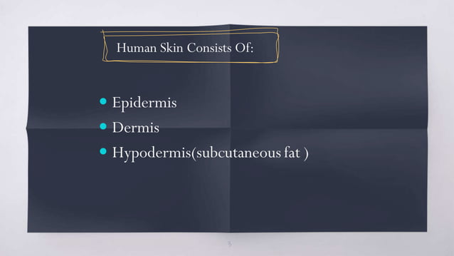 Skin histo patho changes dermatology ppt | PPTX | Skin and Dermatology ...
