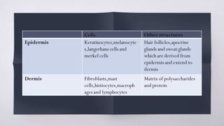Skin histo patho changes dermatology ppt | PPTX