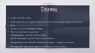 Skin histo patho changes dermatology ppt | PPTX