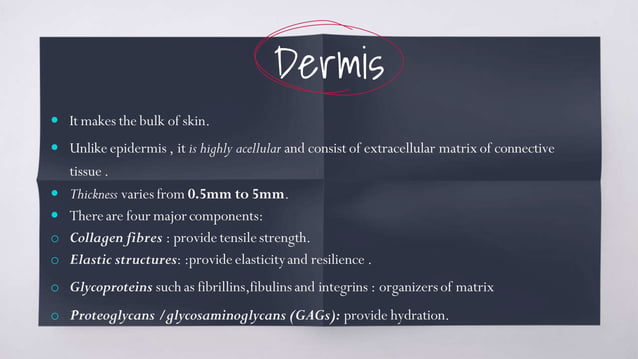 Skin histo patho changes dermatology ppt | PPTX | Skin and Dermatology ...