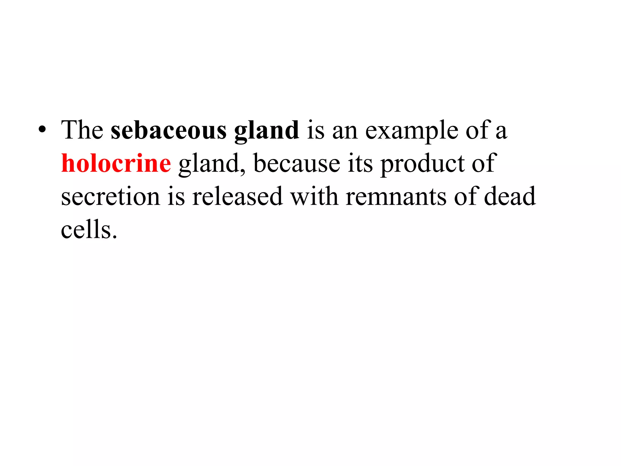 Skin histology | PPTX
