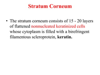 Skin histology | PPTX