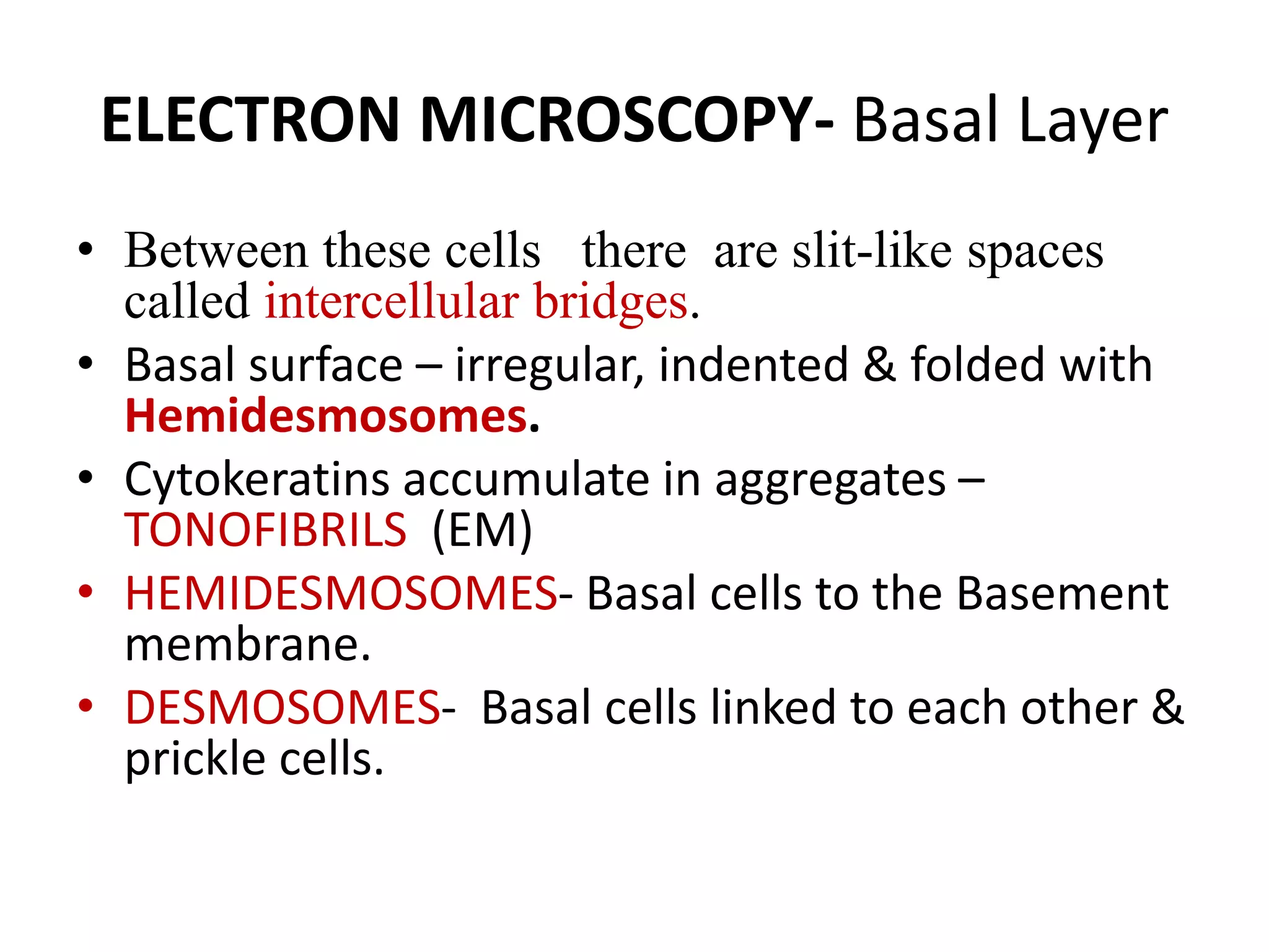 Normal Skin histology | PPTX