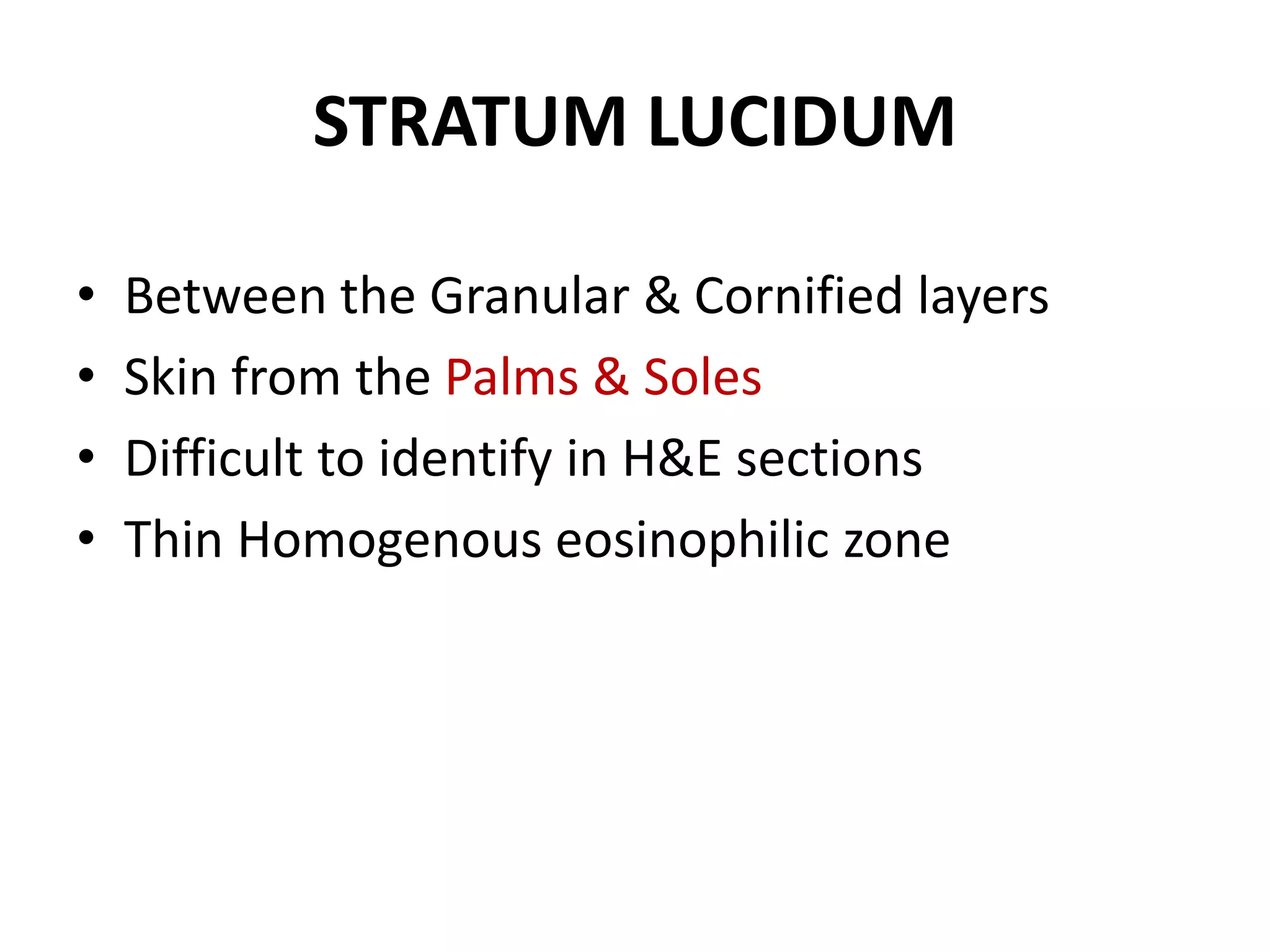 Normal Skin histology | PPTX