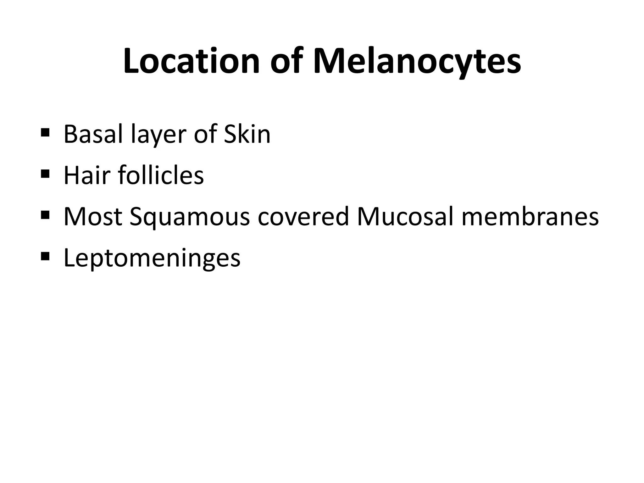 Normal Skin histology | PPTX