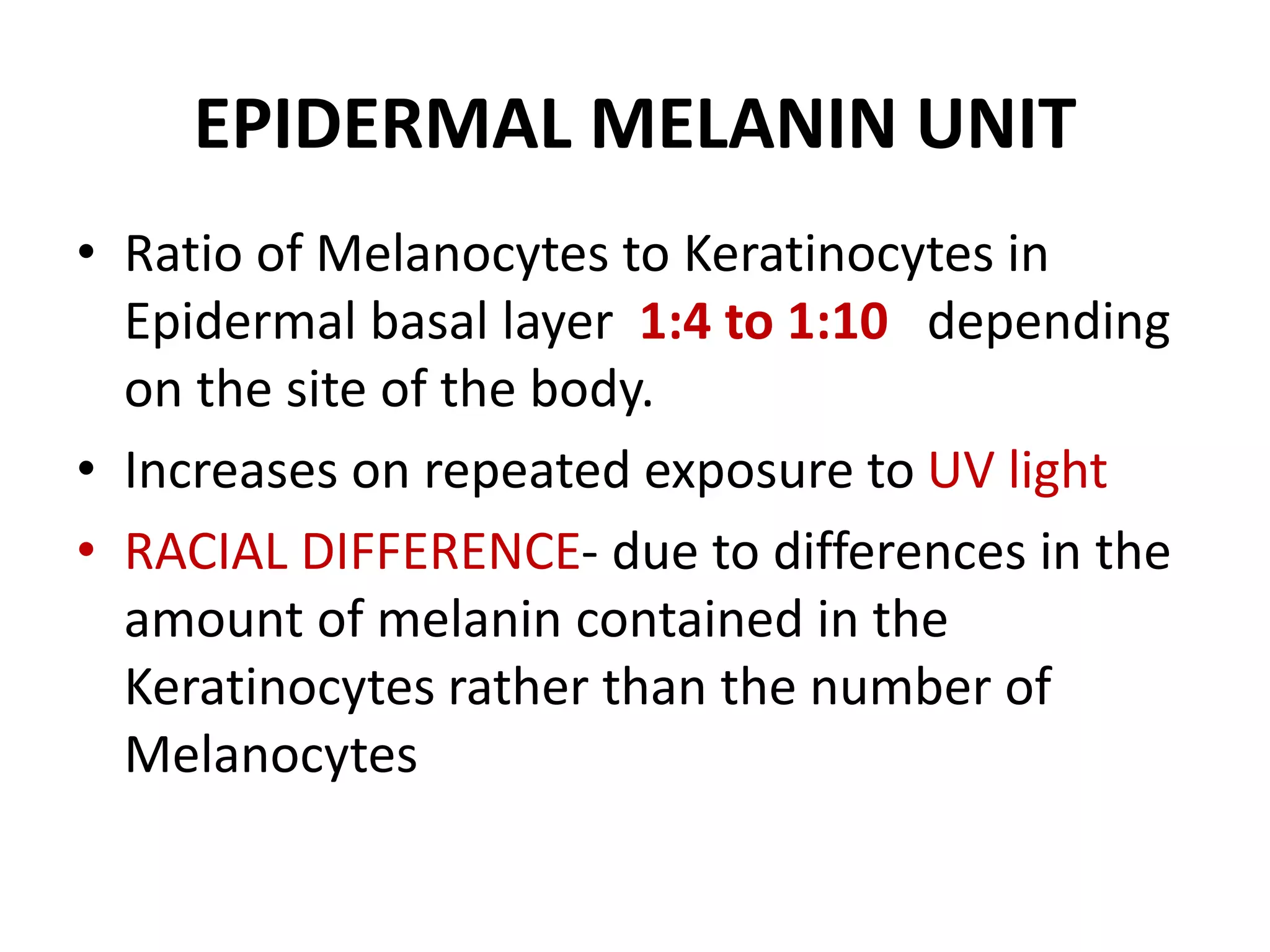 Normal Skin histology | PPTX