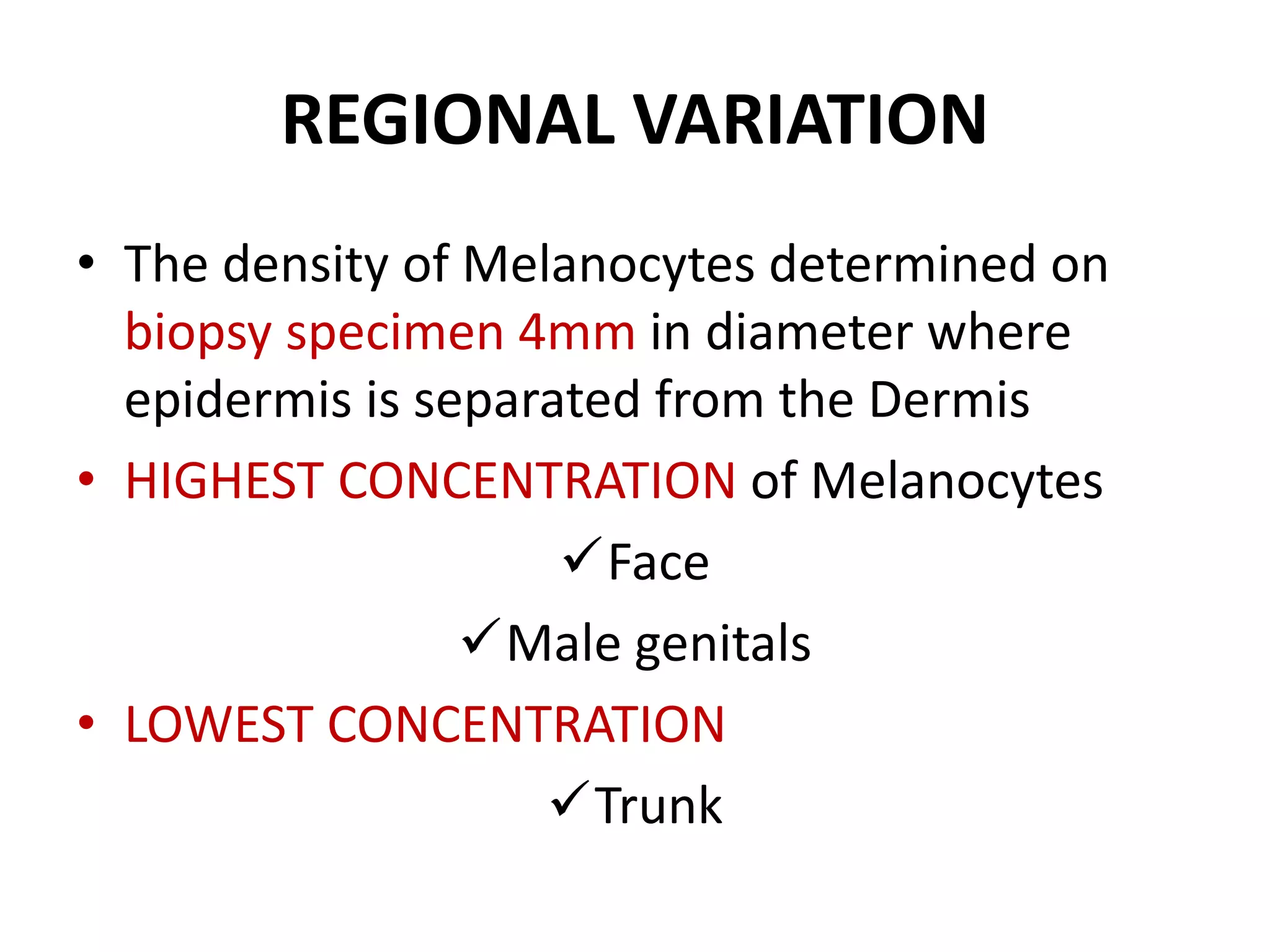 Normal Skin histology | PPTX