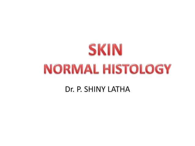 Normal Skin histology | PPTX | Skin and Dermatology | Diseases and ...