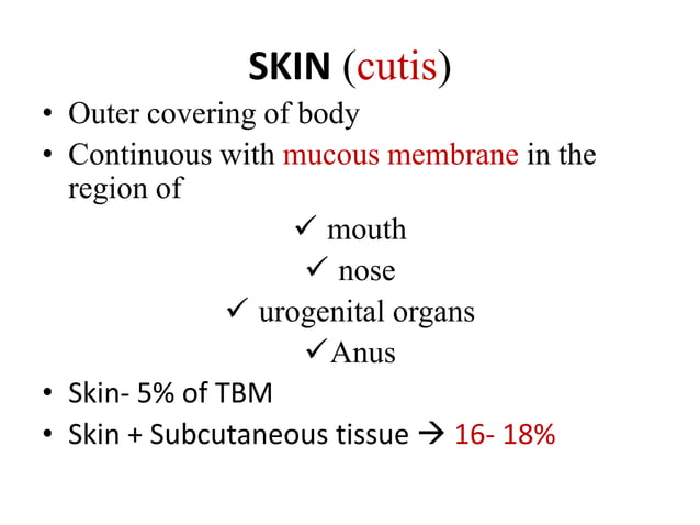 Normal Skin histology | PPTX | Skin and Dermatology | Diseases and ...