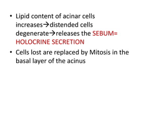 Normal Skin histology | PPTX