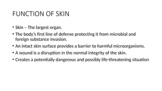 Skin Hydration and Integrity anatomy.pptx
