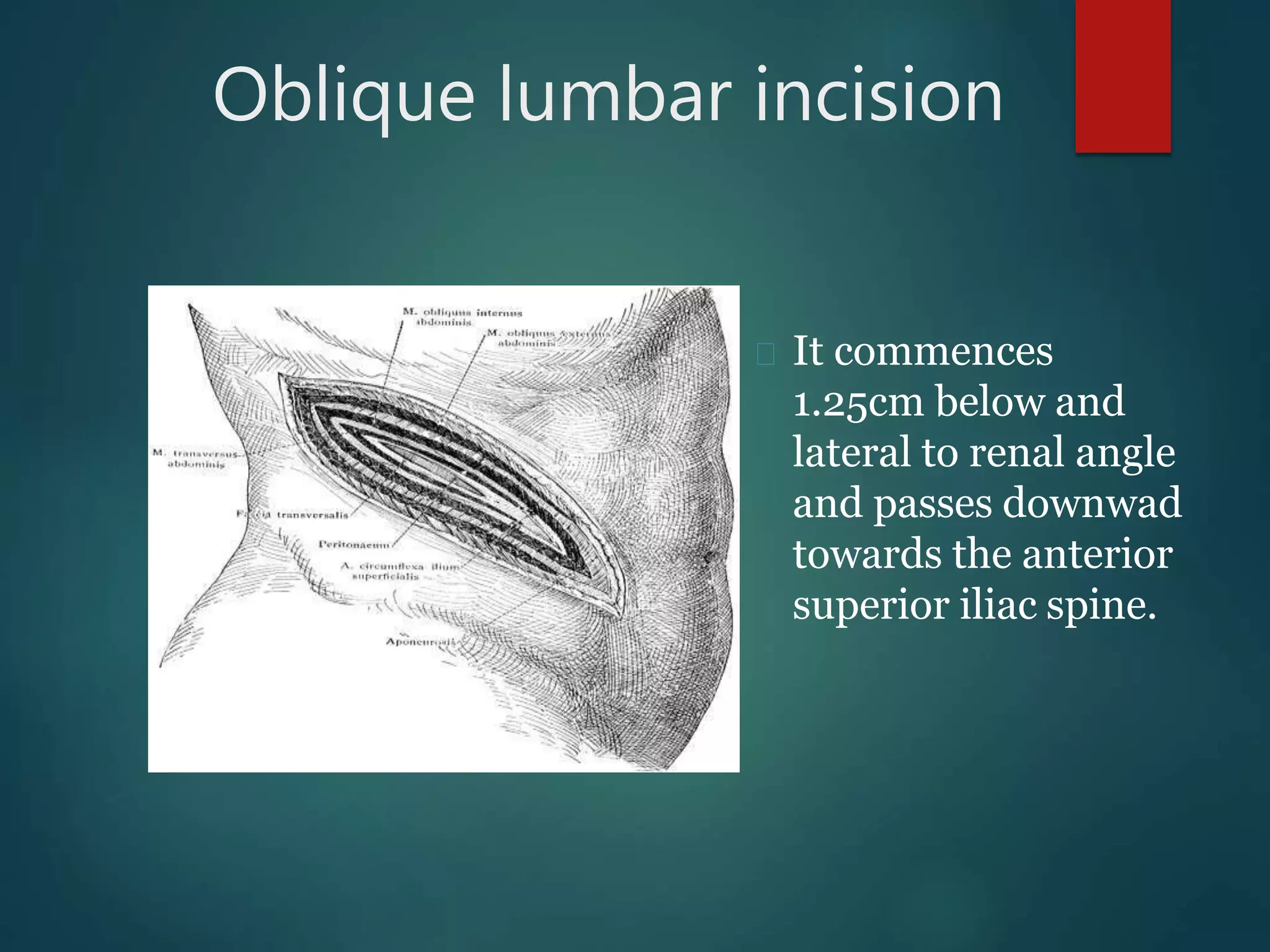 Skin incisions final | PPTX
